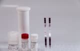 Lateral flow assay (LFA) Clinisciences