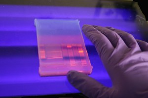 Gel Extraction Kit Clinisciences