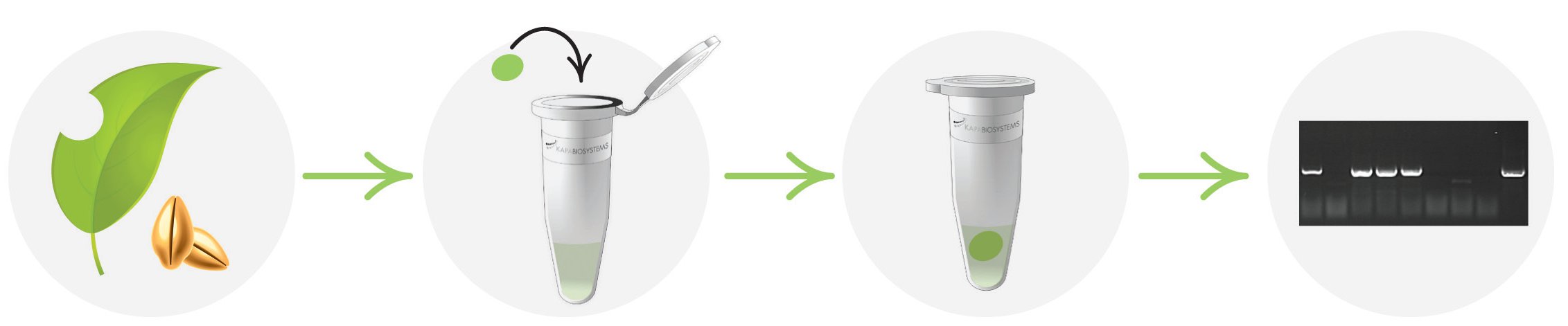 Kits de PCR sur plante Clinisciences