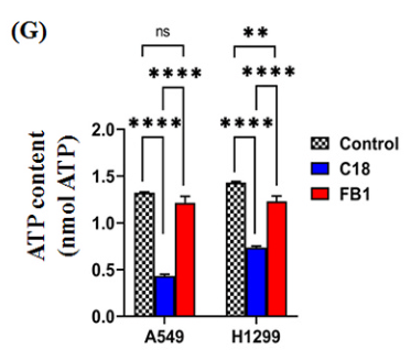 E-BC-K157-S-100 | ATP Colorimetric Assay Kit Clinisciences