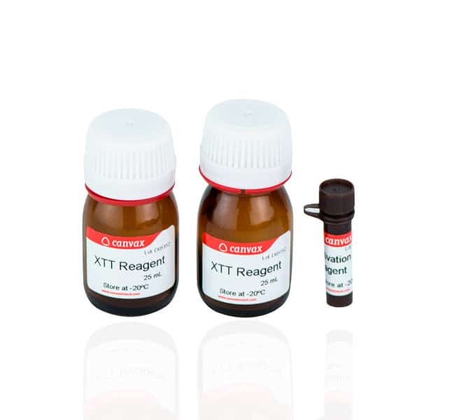 CA031-S | XTT Cell Proliferation Assay Kit Clinisciences