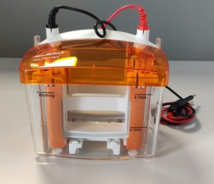 NB-12-8001-10 | Buffer Dam for NeoPRO4 mini Clinisciences