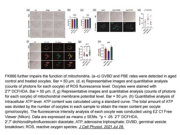 A4381-5mg | FK866 (APO866) [658084-64-1] Clinisciences