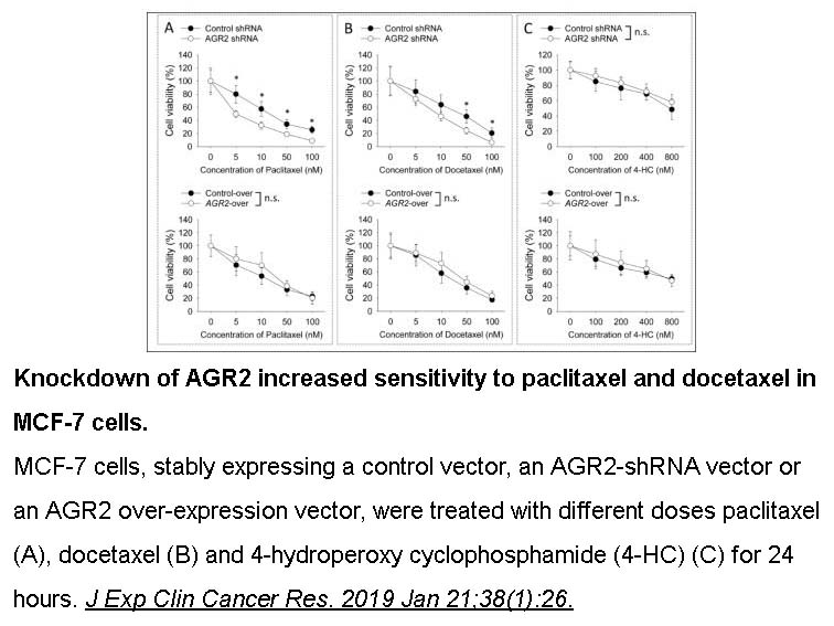 A4394-1ml | Docetaxel [114977-28-5] Clinisciences