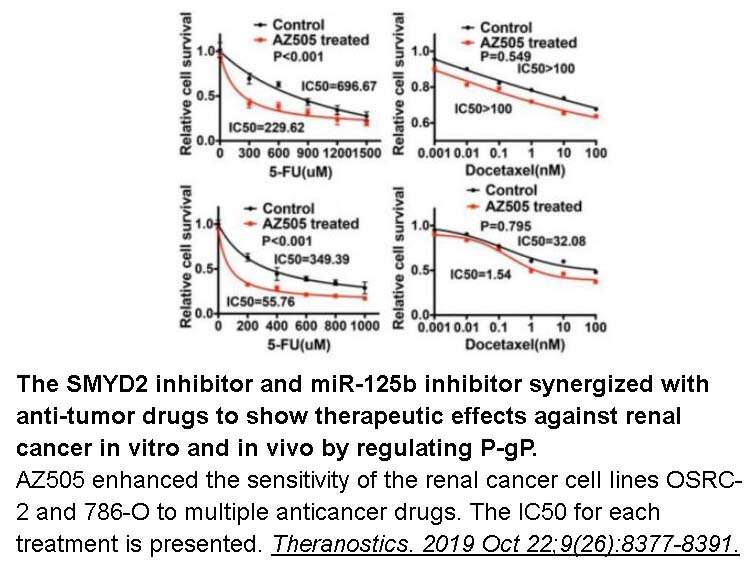A4394-1ml | Docetaxel [114977-28-5] Clinisciences