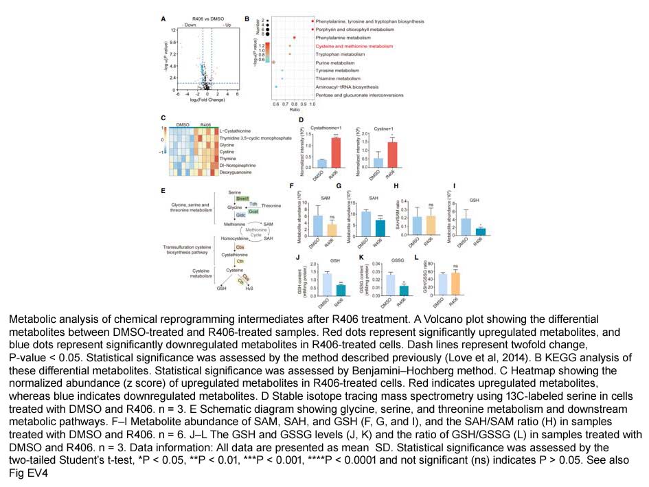 A5880-100mg | R406 (free base) [841290-80-0] Clinisciences