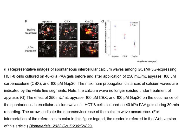 A1044-10mg | Gap 26 [197250-15-0] Clinisciences