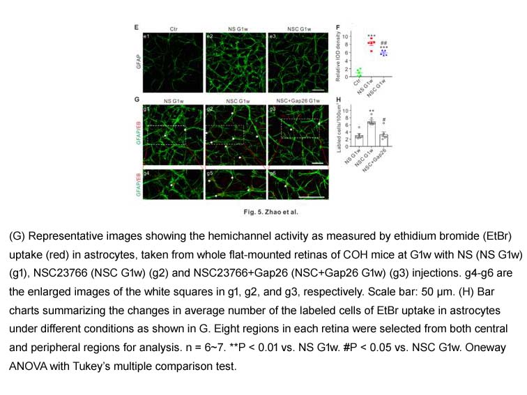A1044-10mg | Gap 26 [197250-15-0] Clinisciences