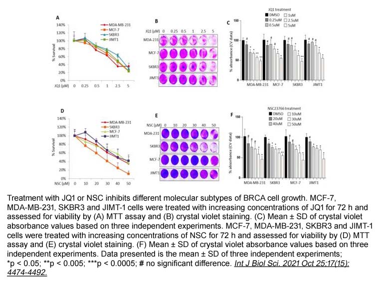 A1910-10mg | Bromodomain Inhibitor, (+)-JQ1 [1268524-70-4] Clinisciences