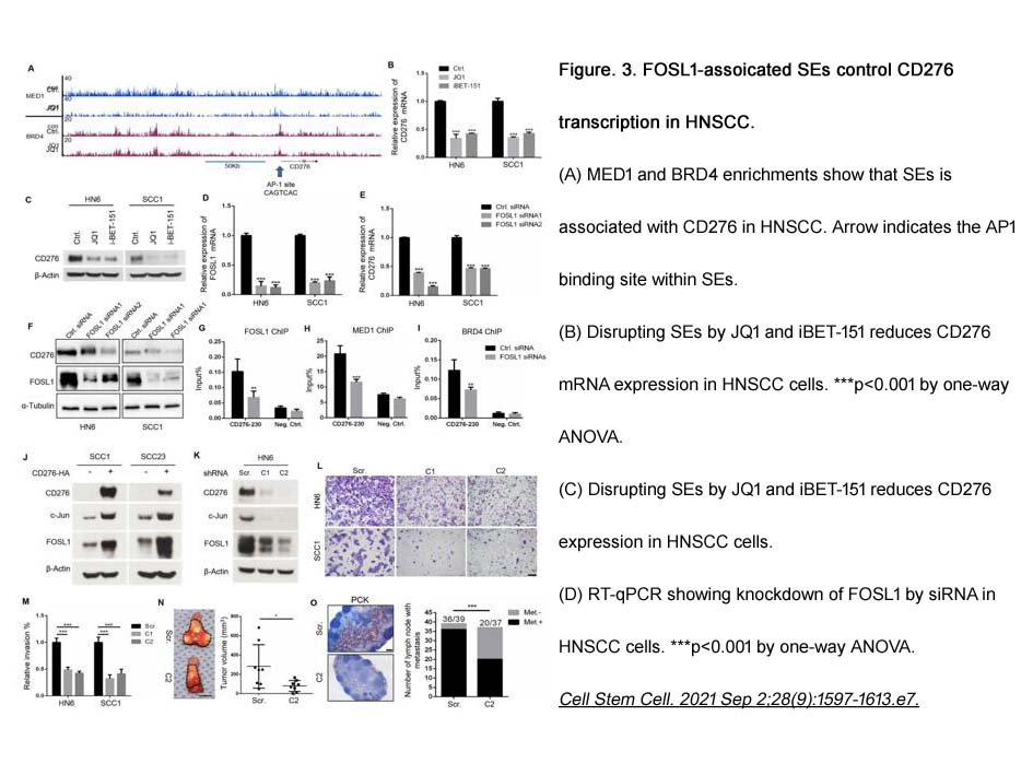 A1910-10mg | Bromodomain Inhibitor, (+)-JQ1 [1268524-70-4] Clinisciences