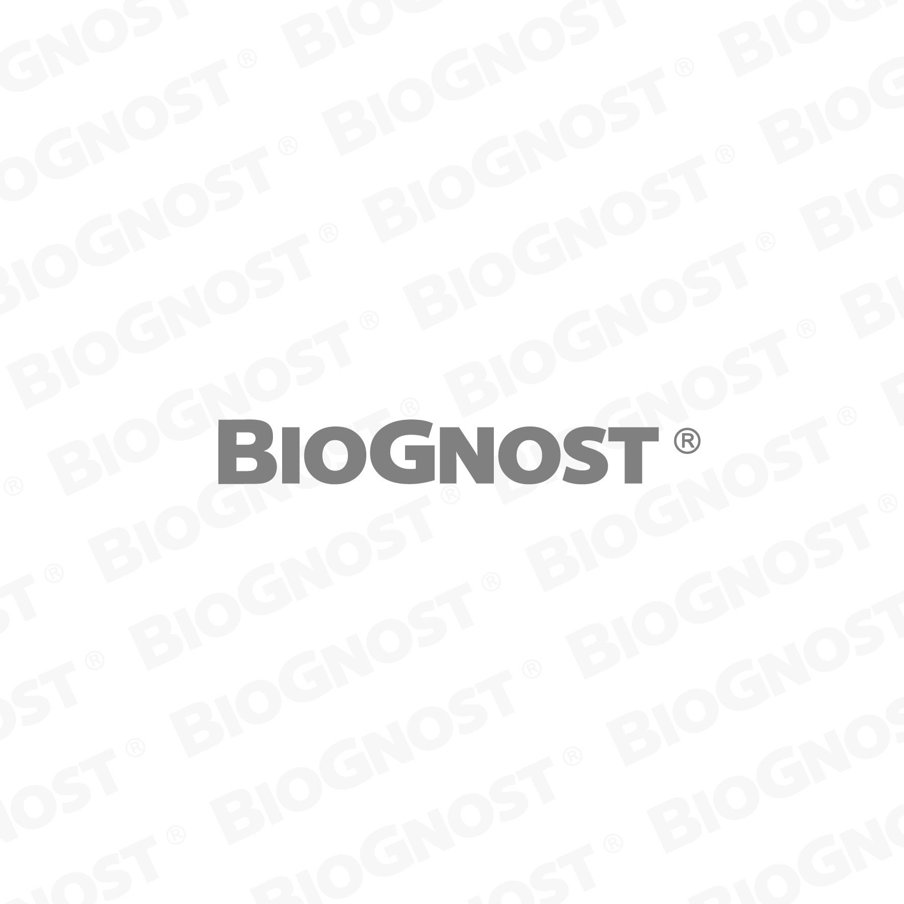 ORO-OT-250 | Oil Red O reagent Clinisciences