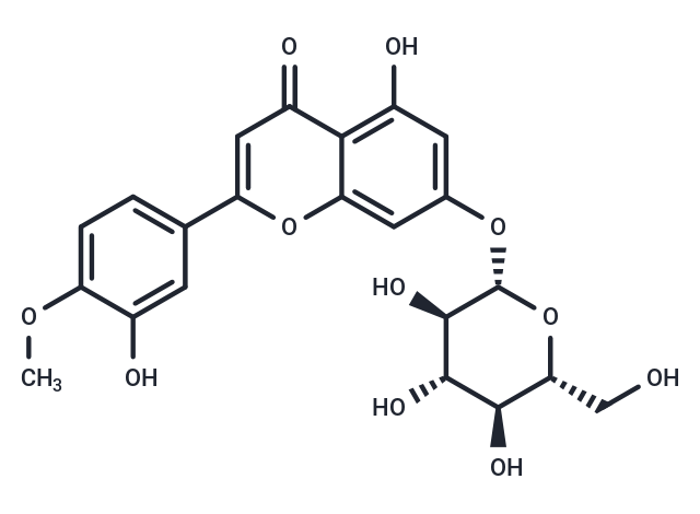 T4S0692-1mg | Diosmetin-7-O-β-D-glucopyranoside [20126-59-4] Clinisciences