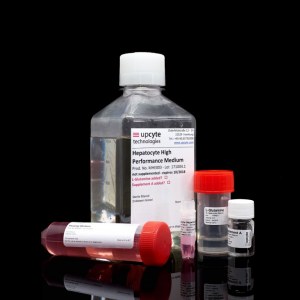 MHE003 | Hepatocyte High Performance Medium - Kit Clinisciences