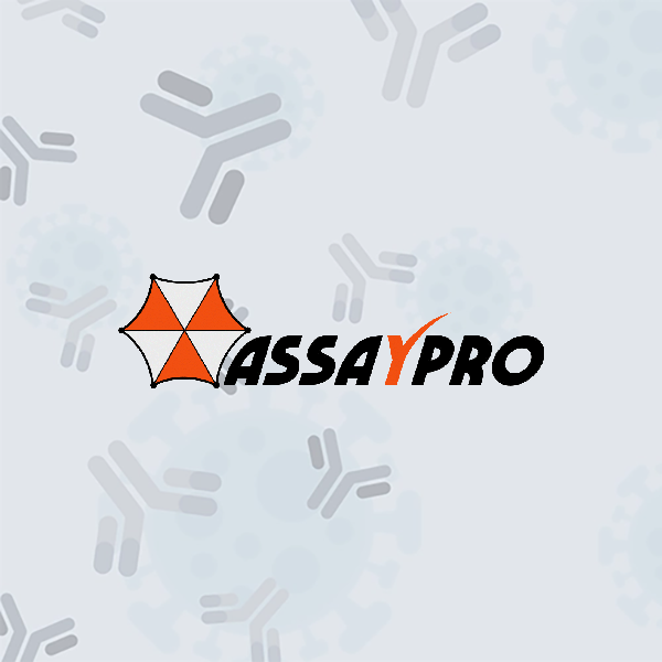 33498-05151 | Human Tropomyosin (TPM) AssayLite™ Antibody (RPE Conjugate)