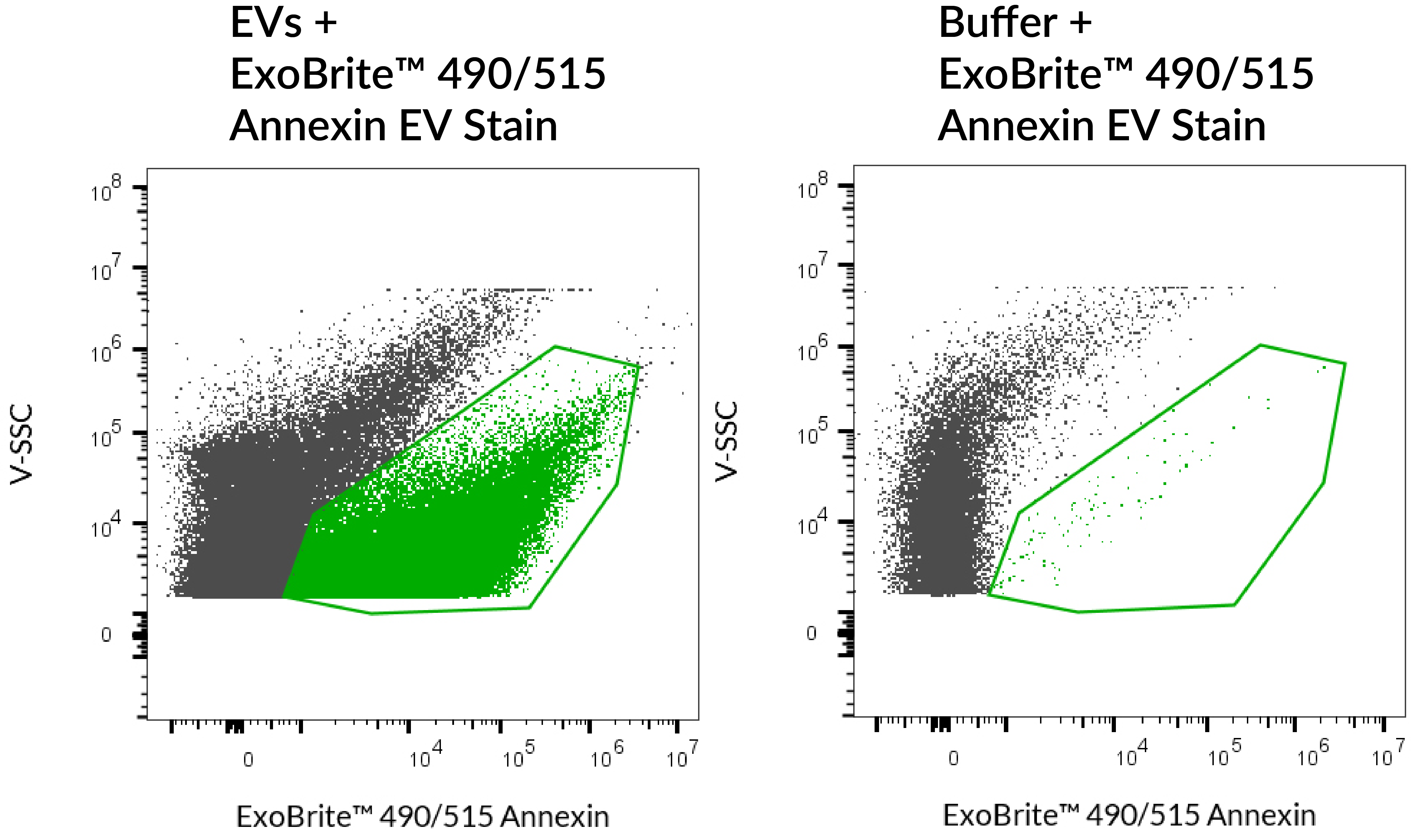 30121-T | ExoBrite™ 560/585 Annexin EV Staining Kit, 100 labelings