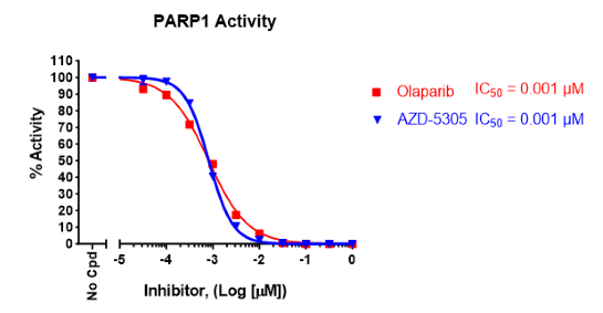 80551 | PARP1 Chemiluminescent Assay Kit Clinisciences