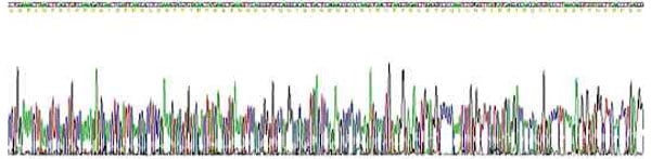 MBS2105389-0,2mg | Recombinant Apolipoprotein B (APOB) Clinisciences