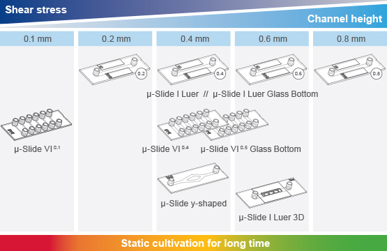 10906 | ibidi Pump System Quad: ibidi Pump, Fluidic Unit Quad, Perfusion Set