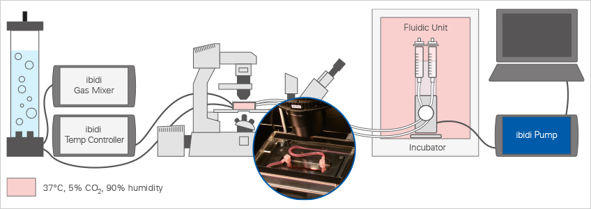 10906 | ibidi Pump System Quad: ibidi Pump, Fluidic Unit Quad, Perfusion Set