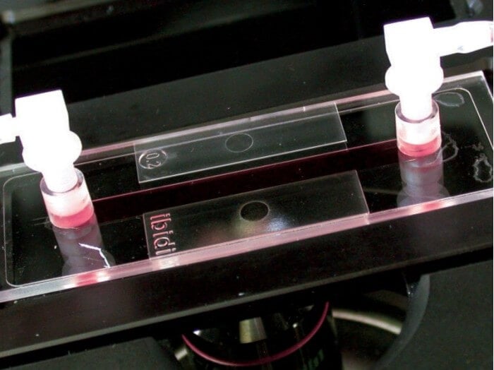 10902 | ibidi Pump System: ibidi Pump, Fluidic Unit, Perfusion Set