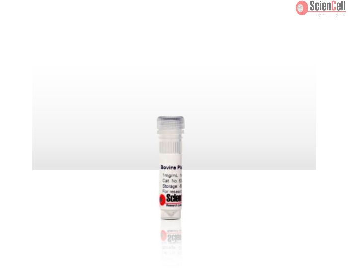 8248-SC | Bovine Plasma Fibronectin Clinisciences