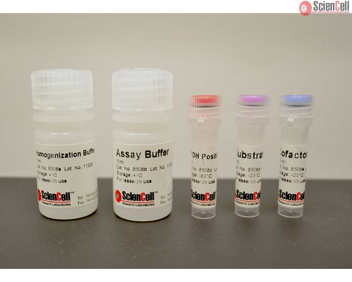 8508-SC | Glycerol-3-phosphate Dehydrogenase Assay Clinisciences