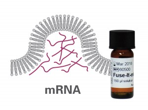 Fuse-It-mRNA easy / Fuse-It-mRNA Clinisciences