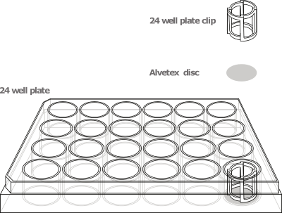 Polystyrene 24 well plates for 3D culture - Alvetex Scaffold Clinisciences