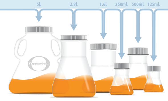 Flasks for protein production Clinisciences