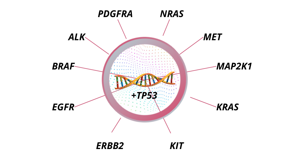 Oncogene NGS panels Clinisciences