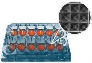 Formez des sphéroïdes uniformes avec la Sphericalplate 5D Clinisciences